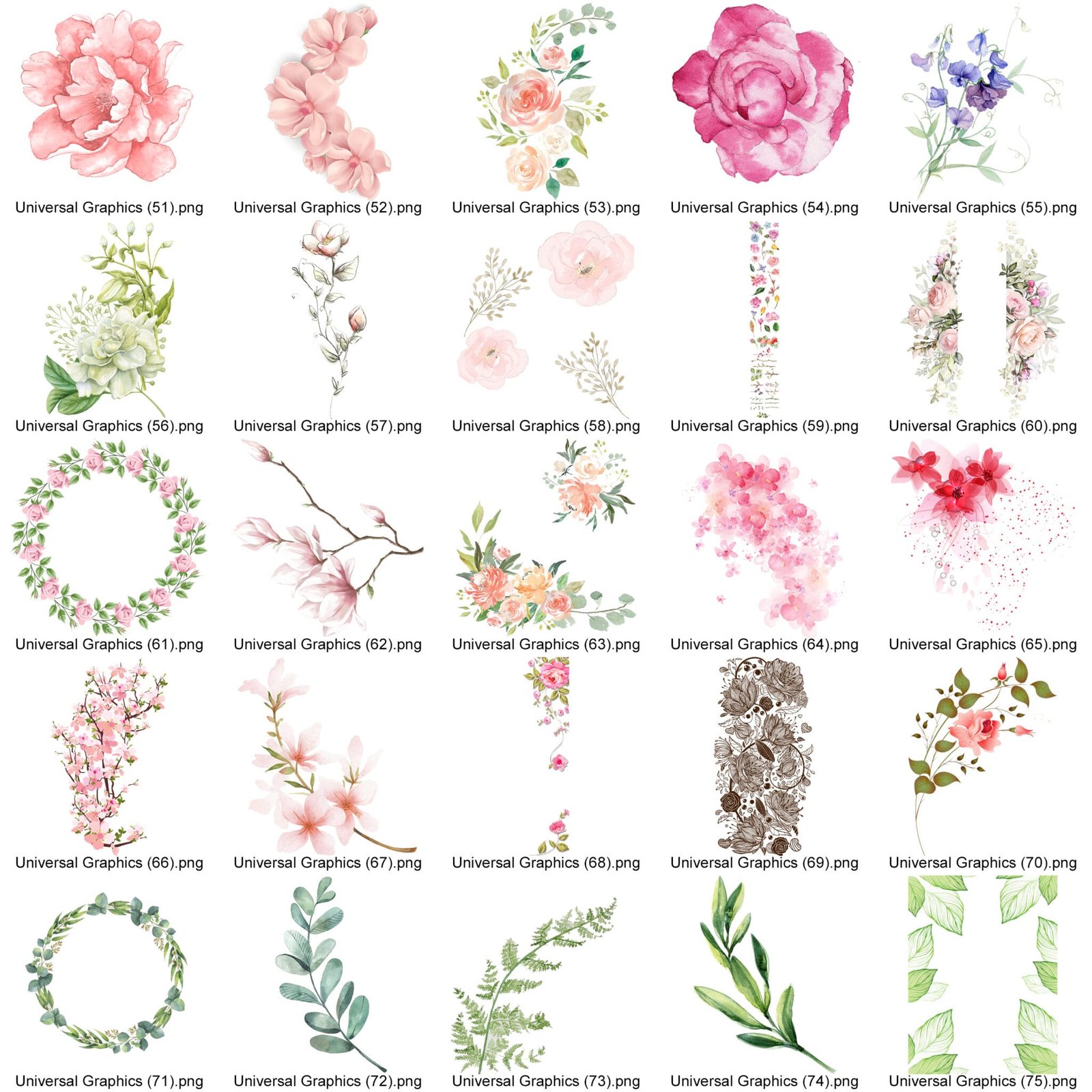 Shop - Universal Graphics